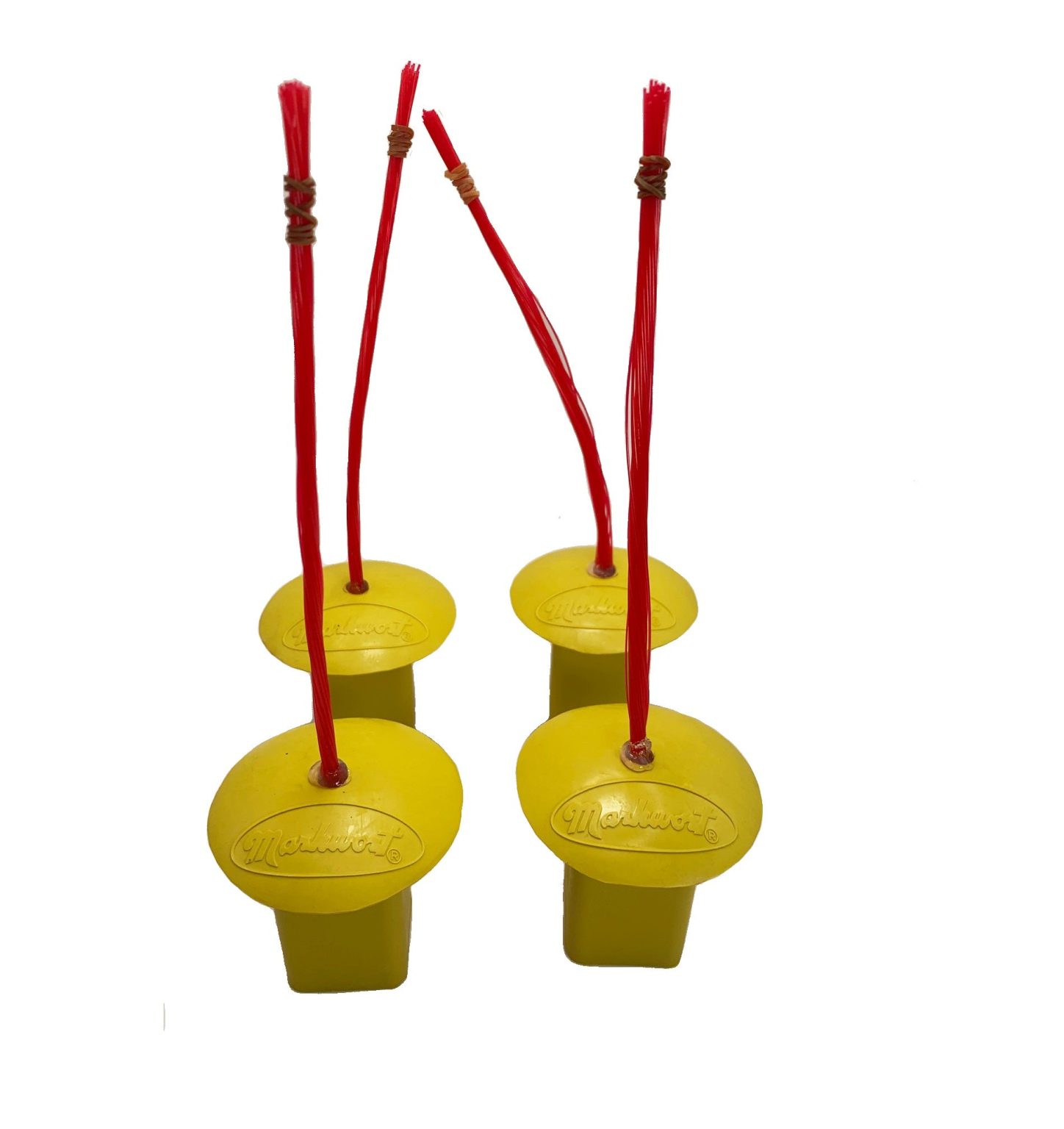 Shop Sporting Goods Products From SportsLife Enterprises